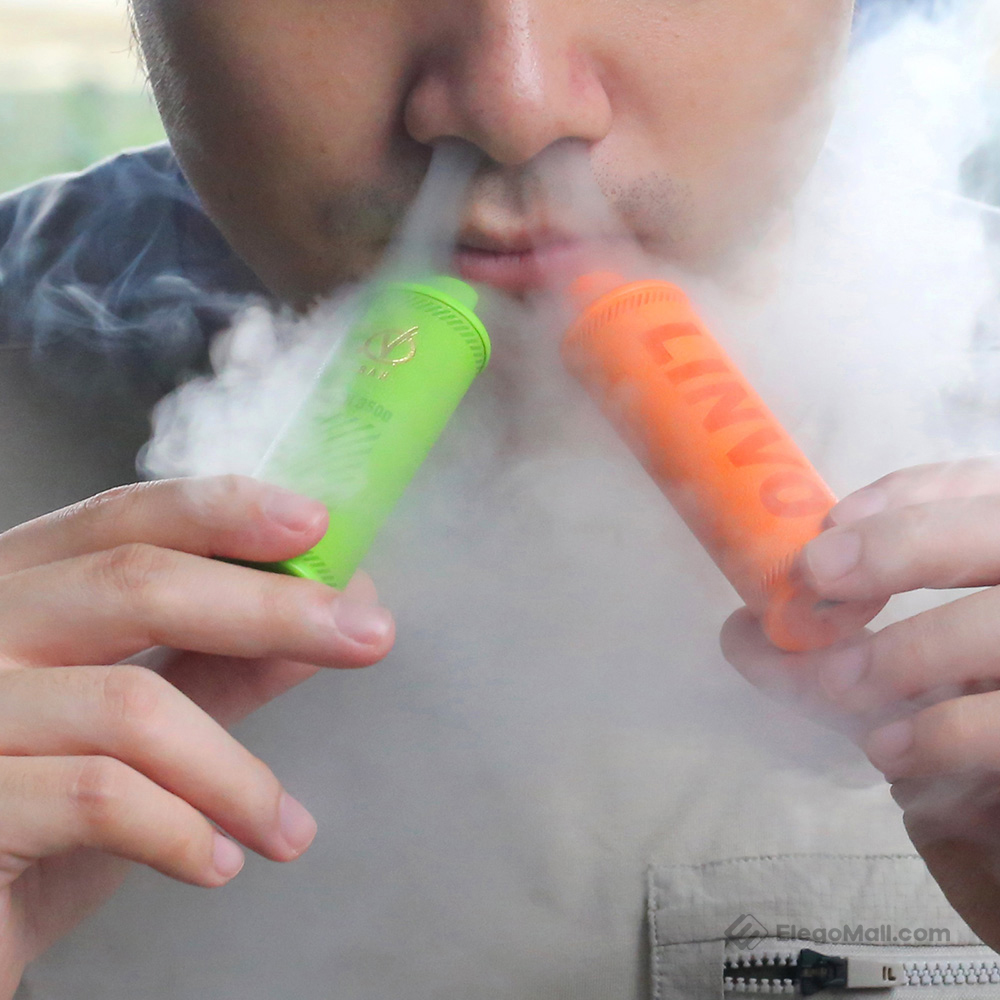 LINVO TOUCH 3500 Review - Rechargeable Leather Disposable Vape